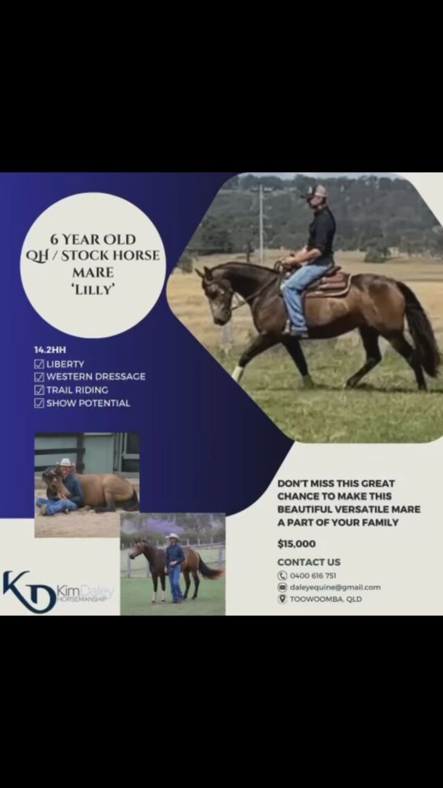 Kim Daley Horsemanship – Kim Daley Horsemanship